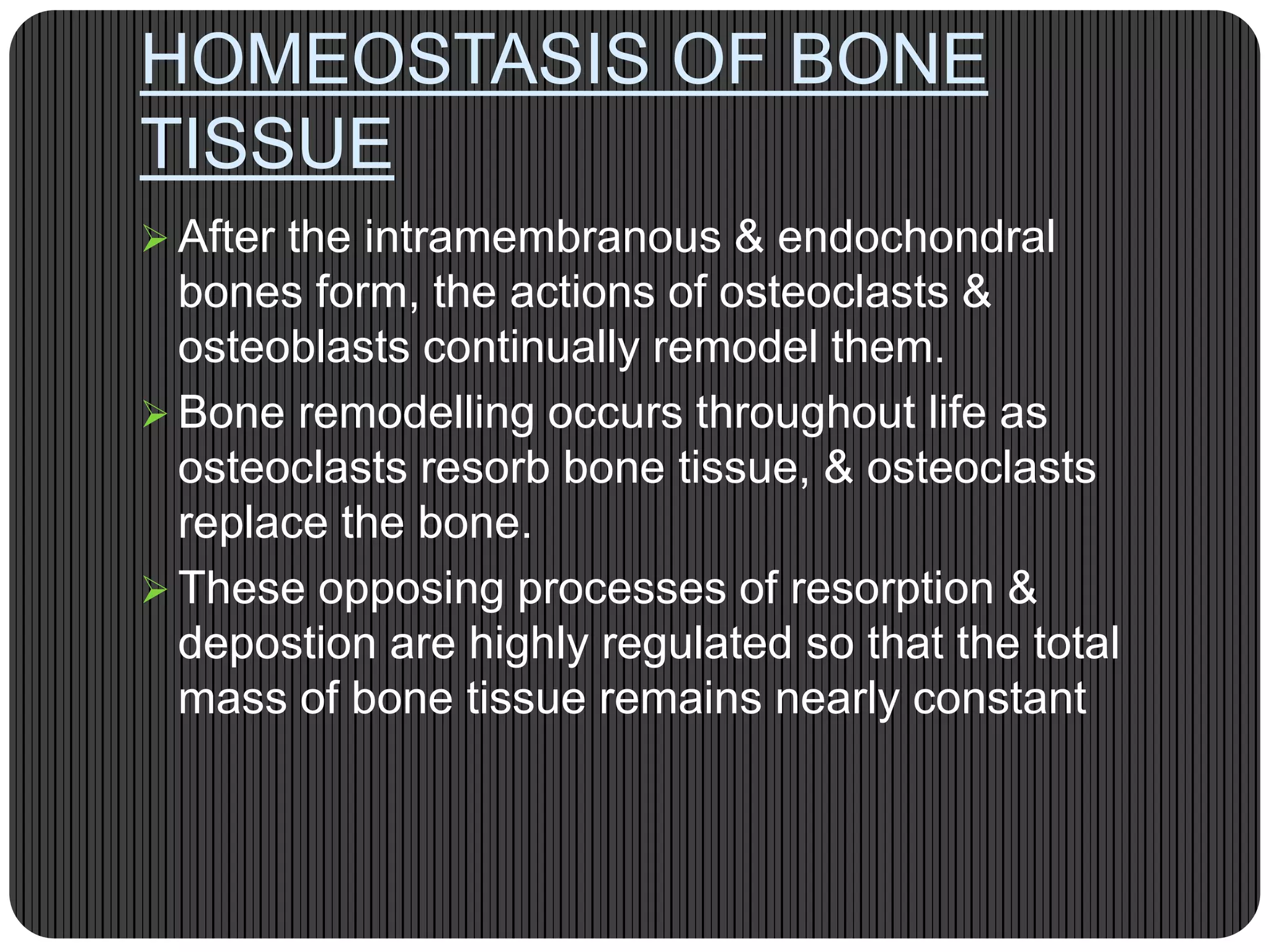 Bone development & growth | PPTX