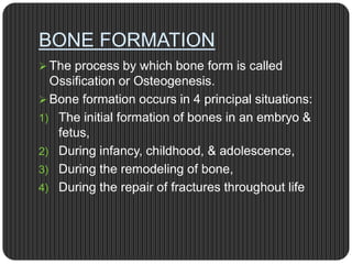 Bone development & growth | PPTX