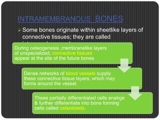 Bone development & growth | PPTX