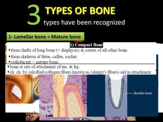 Bone diseases 2014 | PPTX