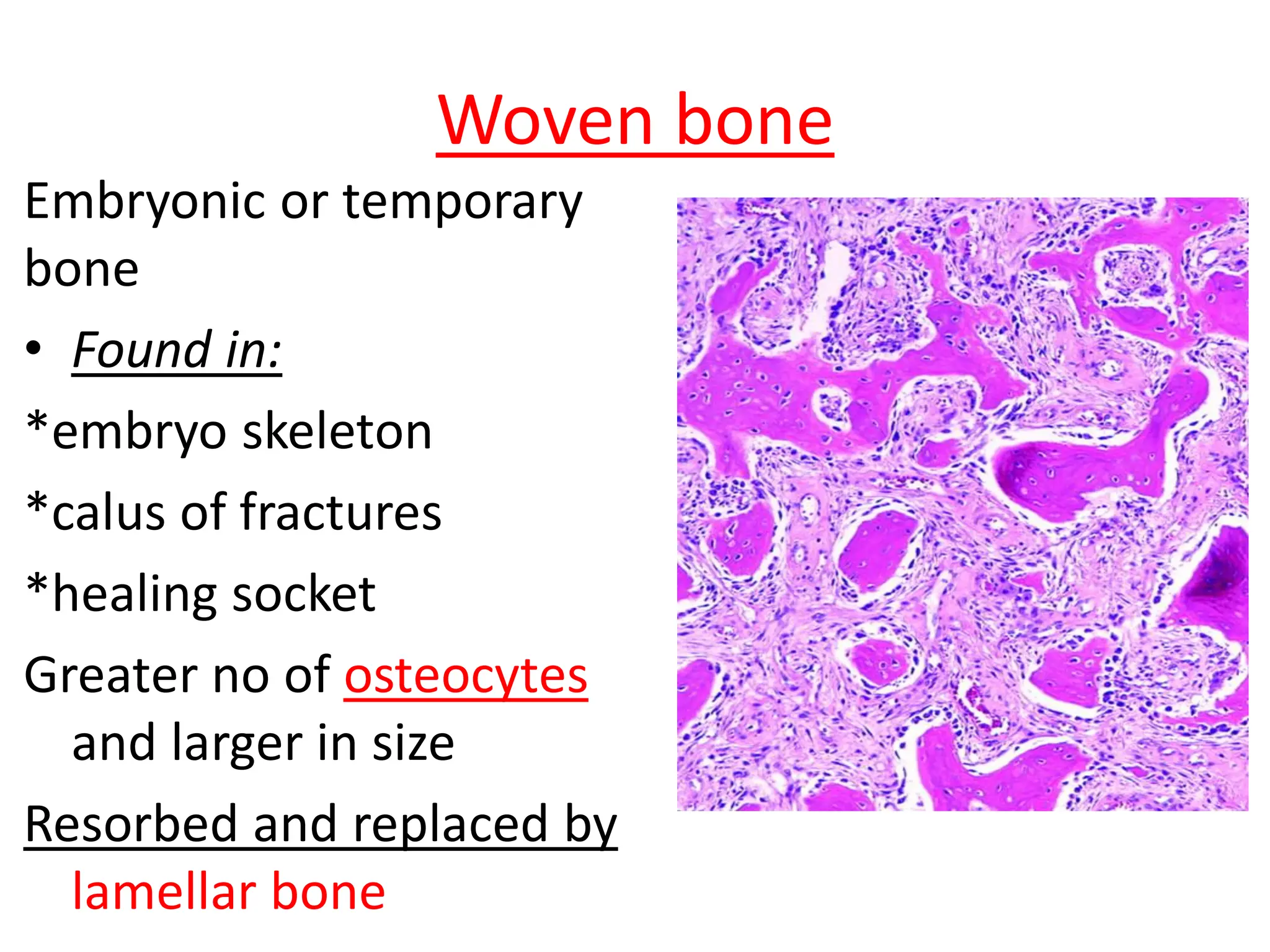 bone diseases I&II Dr Reham (1).pd vvvvf | PDF