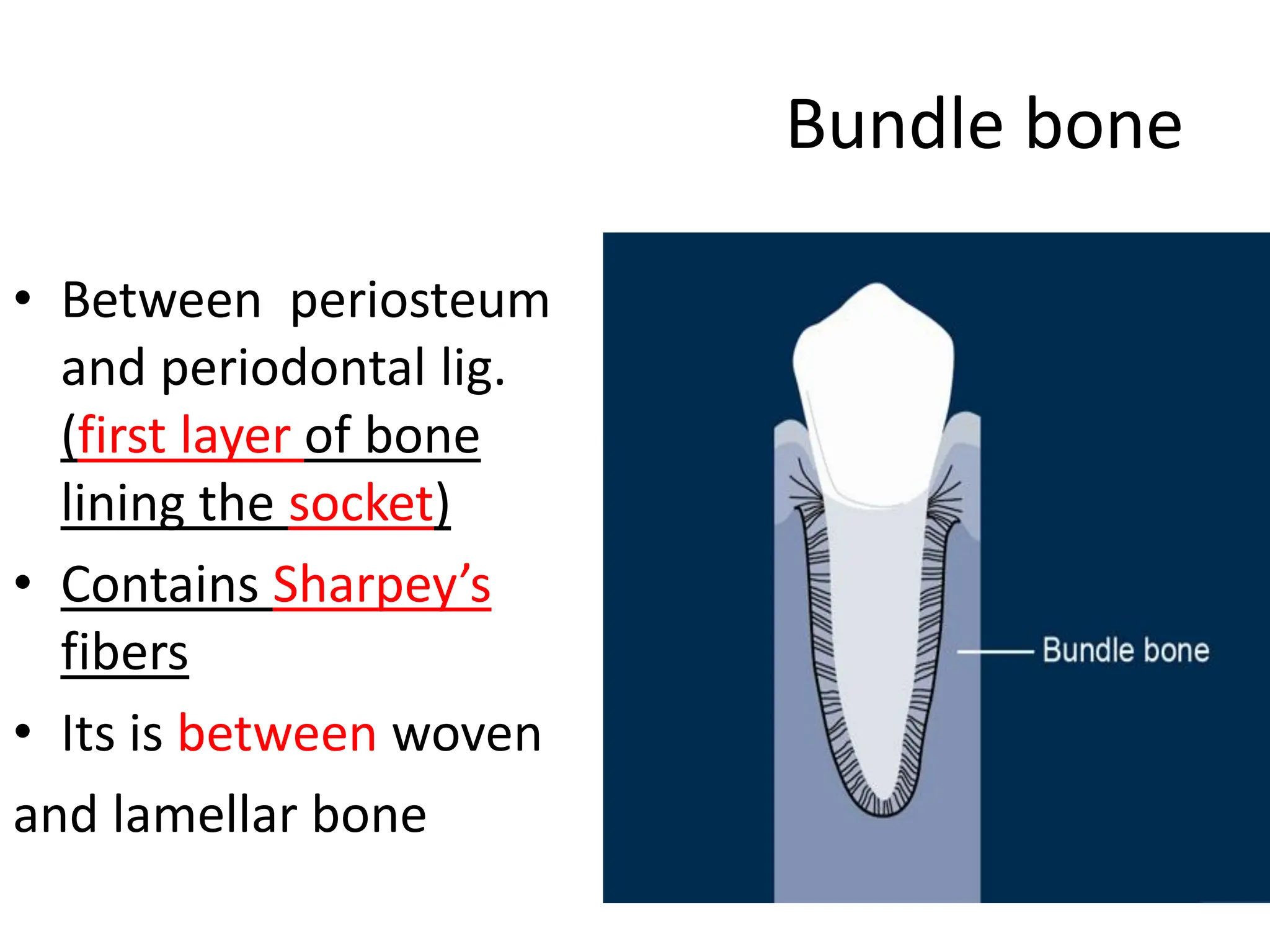 bone diseases I&II Dr Reham (1).pd vvvvf | PDF