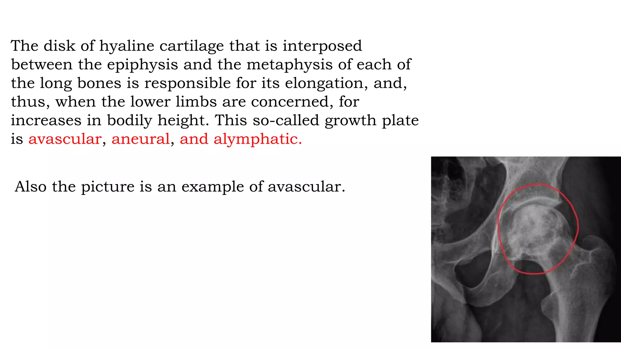 bone elongaltion.pptx