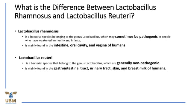 Bonefit Probiotic and role of vitamin d in bones | PPT
