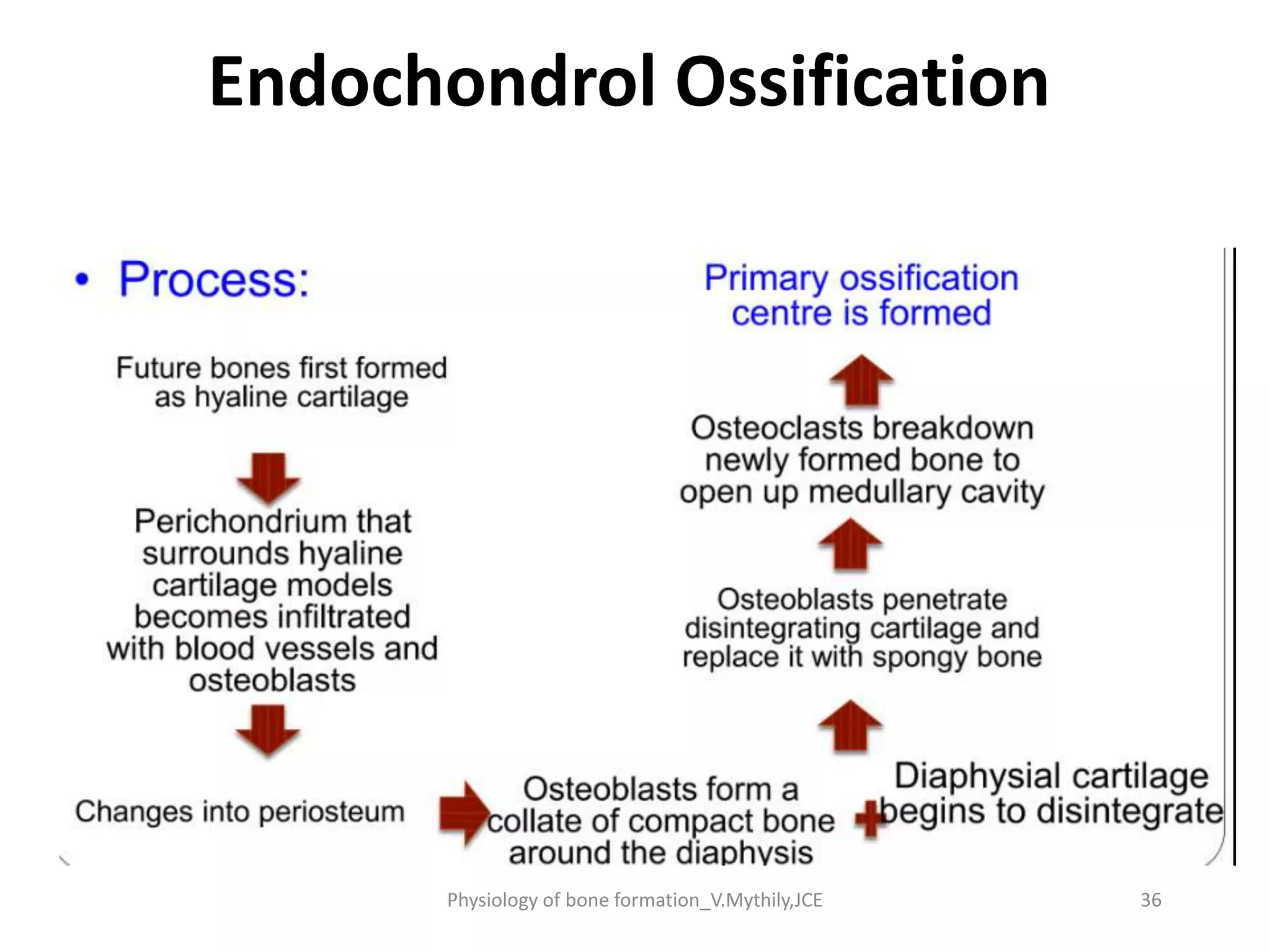 bone formation _Osteogenesis Flowchart.ppt