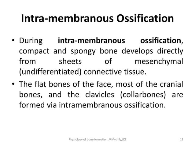 bone formation _Osteogenesis Flowchart.ppt