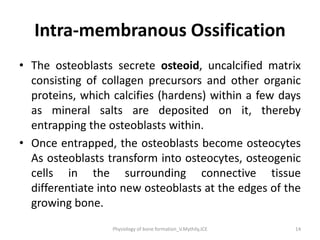 bone formation _Osteogenesis Flowchart.ppt