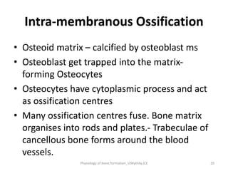 bone formation _Osteogenesis Flowchart.ppt