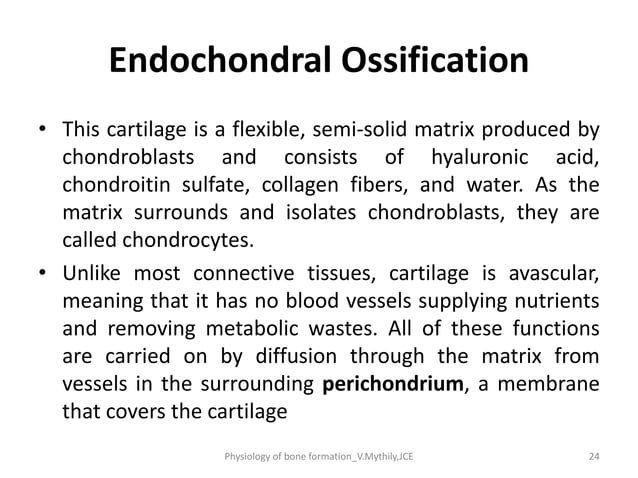 bone formation _Osteogenesis Flowchart.ppt
