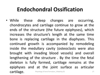 bone formation _Osteogenesis Flowchart.ppt