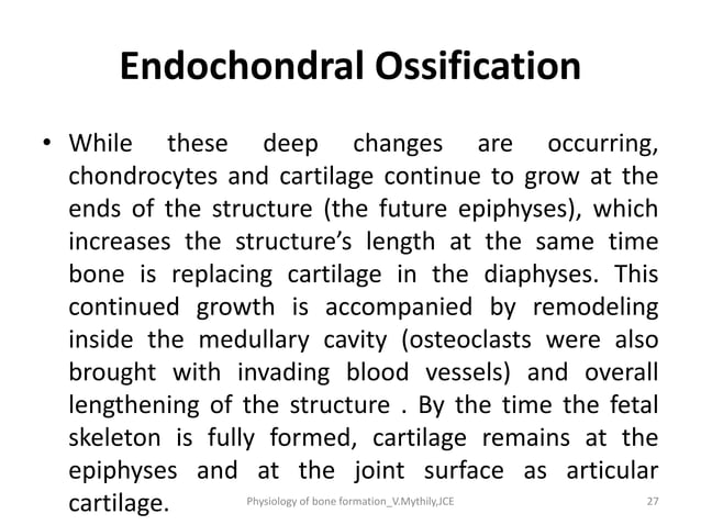 bone formation _Osteogenesis Flowchart.ppt