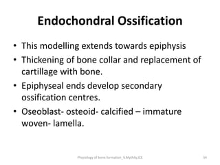 bone formation _Osteogenesis Flowchart.ppt