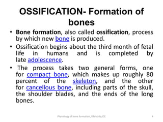 bone formation _Osteogenesis Flowchart.ppt