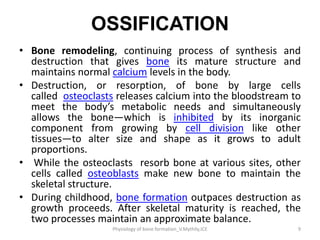bone formation _Osteogenesis Flowchart.ppt