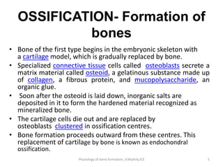 bone formation _Osteogenesis Flowchart.ppt