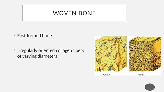 Bone formation, resorption and factors affecting it.pptx