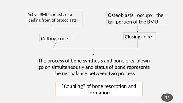 Bone formation, resorption and factors affecting it.pptx