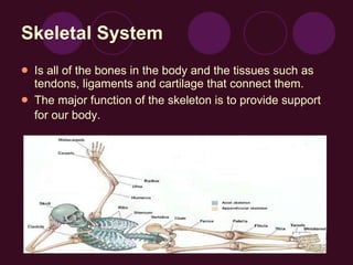 Bone fractures#4presentation | PPT