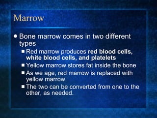 Bone function and_formation_2009 | PPT