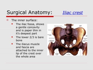 Iliac Crest Bone Graft