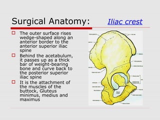 Bone graft | PPT