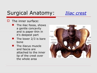 Bone graft | PPT