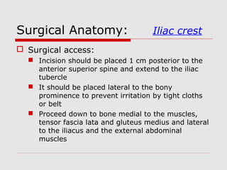 Bone graft | PPT
