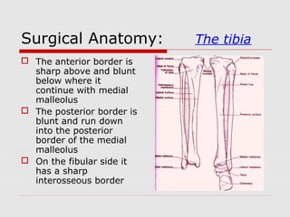 Bone graft | PPT