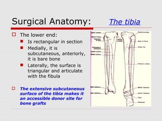 Bone graft | PPT