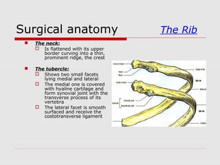Bone graft | PPT