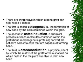 Bone grafting | PPT