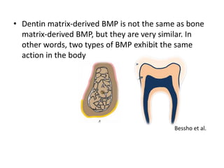 Bone graft material using teeth (article) copy | PPTX