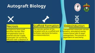 Bone Graft Principles, Choices and Application.pptx