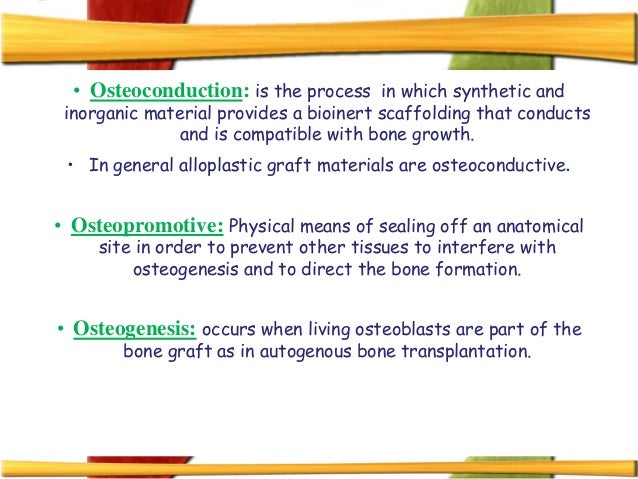 Bone grafts