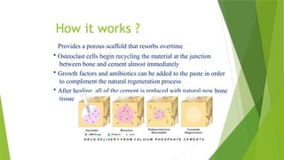 bone grafts used in orthopedic surgery.pptx