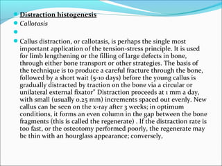 Orthopedics 5th year, 5th lecture (Dr. Omar Barawi) | PPT