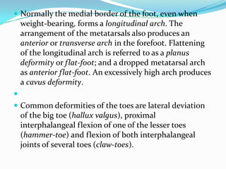 orthopedics.Bone grafts and club foot.(dr.omer barawe) | PPT