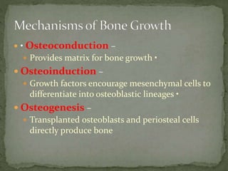 bone graft substitutes.pptx