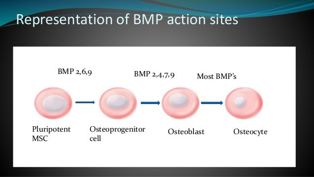 Bone graft substitutes presentation
