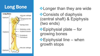 Bone Growth & Development by Kerstin Karen Vicente, RN | PPTX