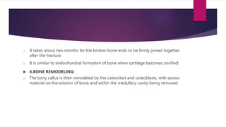 Bone growth & factors affecting bone growth | PPTX