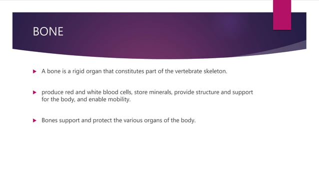 Bone growth & factors affecting bone growth | PPTX | Bone and Joint ...