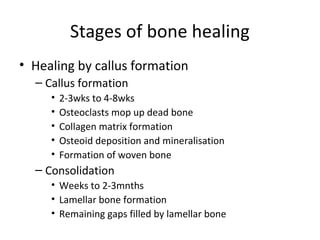 Bone healing | PPT
