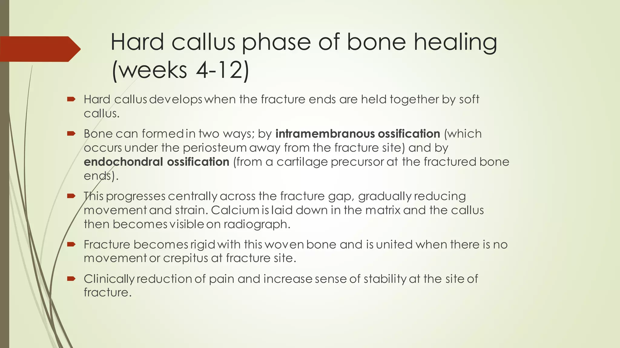 Stages of Bone healing and madalities to enhance bone healing | PDF