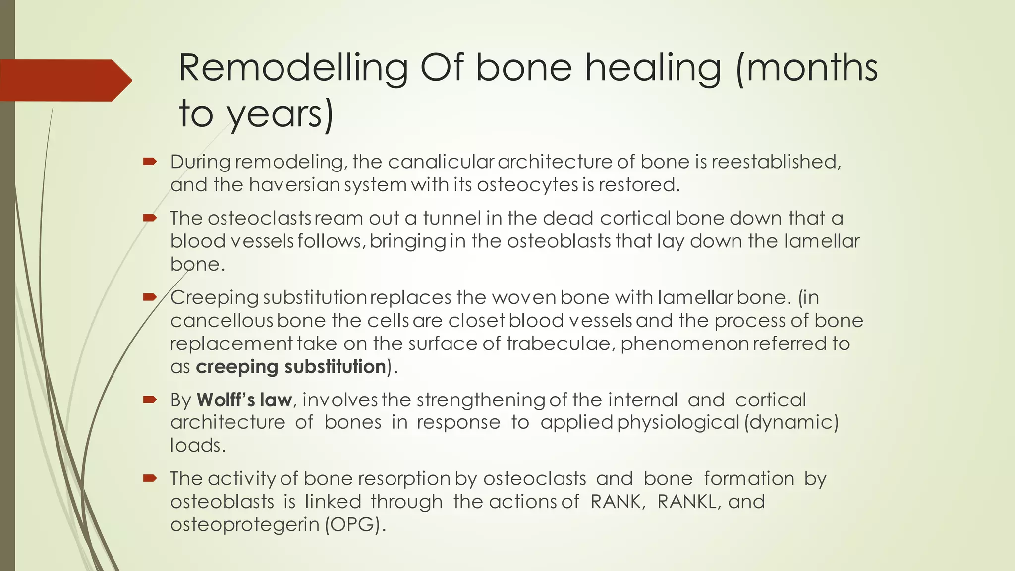 Stages of Bone healing and madalities to enhance bone healing | PDF