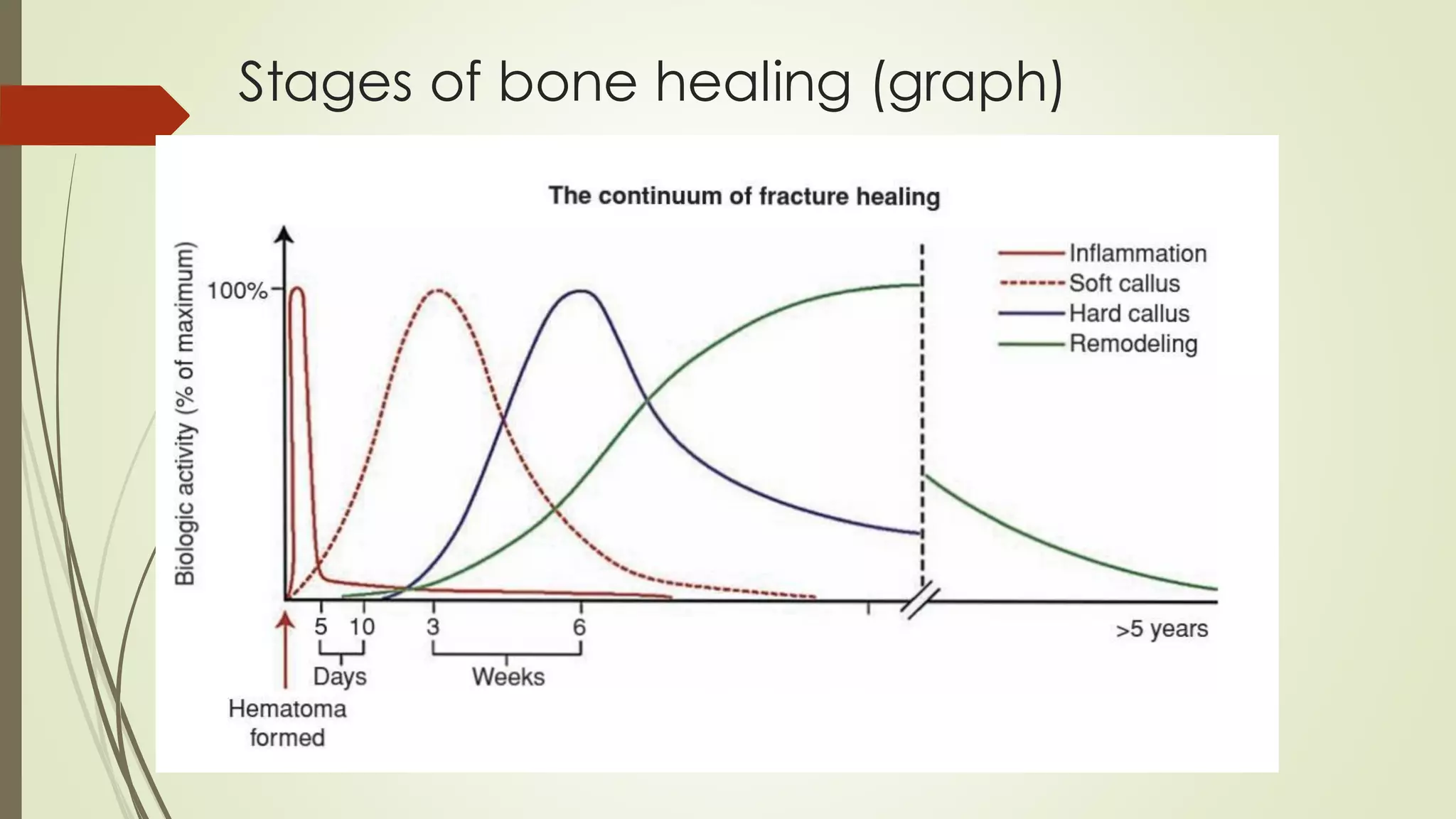 Stages of Bone healing and madalities to enhance bone healing | PDF