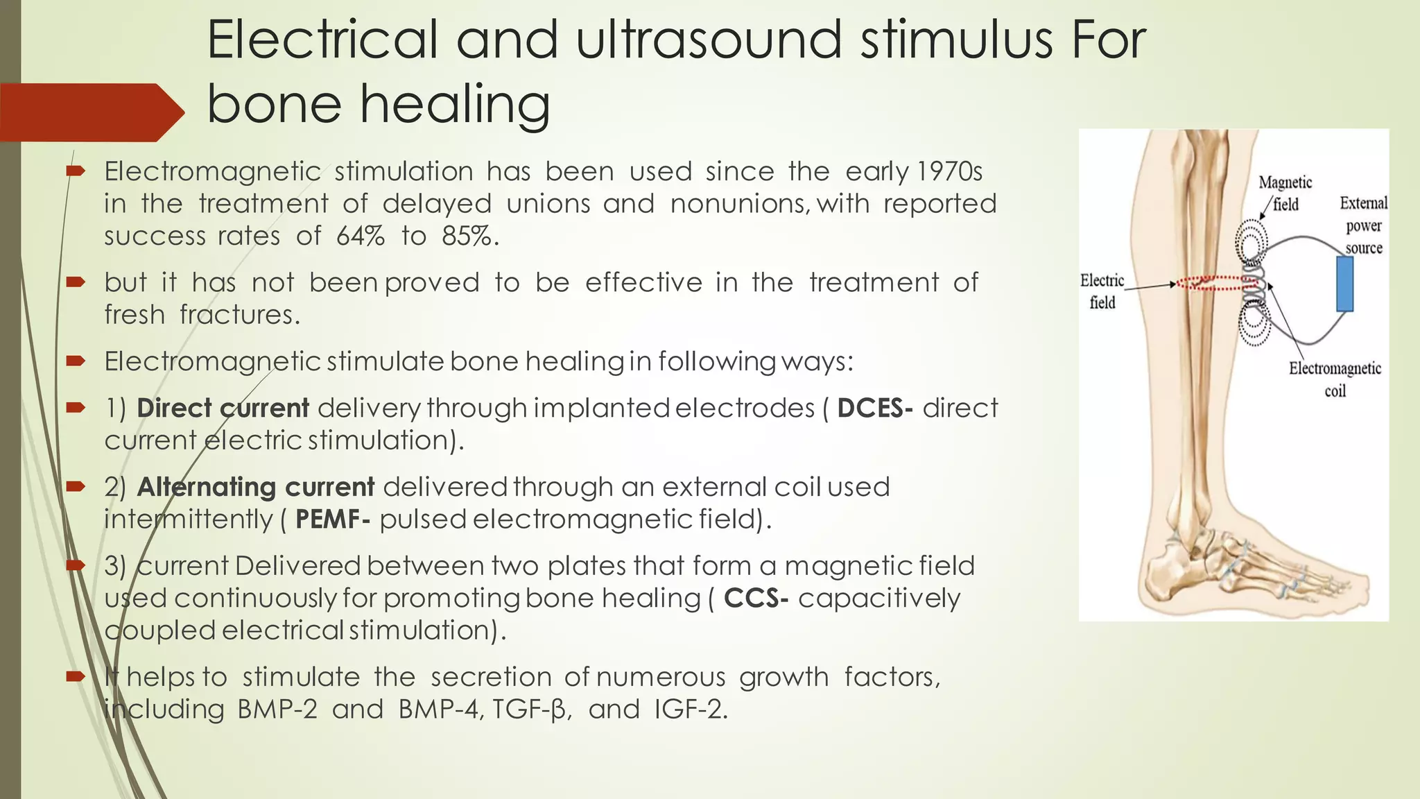 Stages of Bone healing and madalities to enhance bone healing | PDF