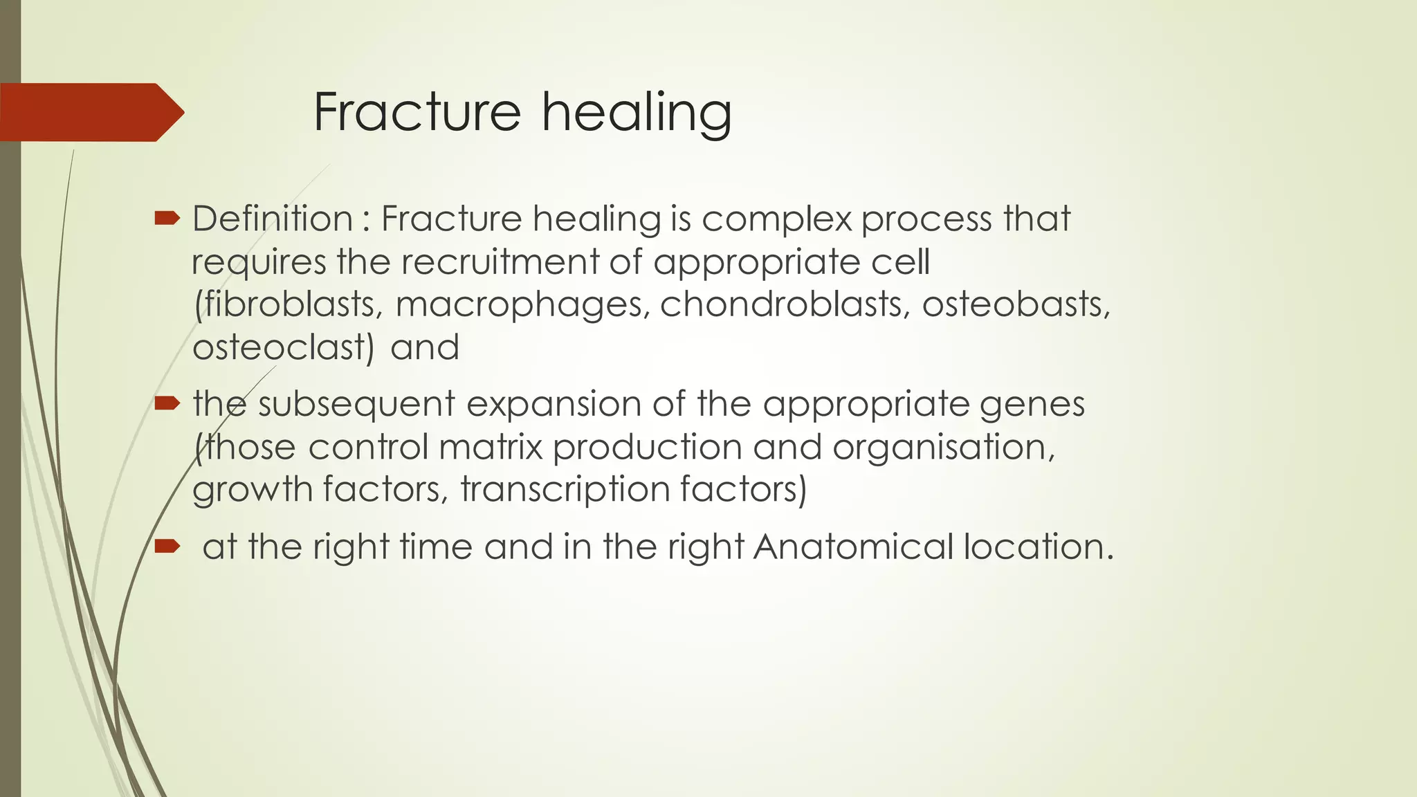 Stages of Bone healing and madalities to enhance bone healing | PDF