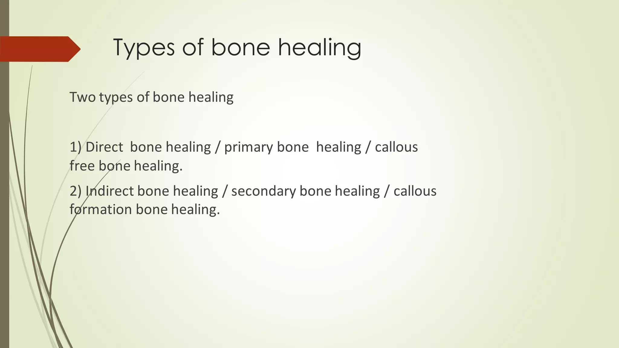 Stages of Bone healing and madalities to enhance bone healing | PDF