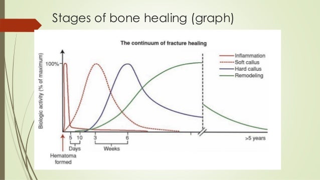 Stages of Bone healing and madalities to enhance bone healing